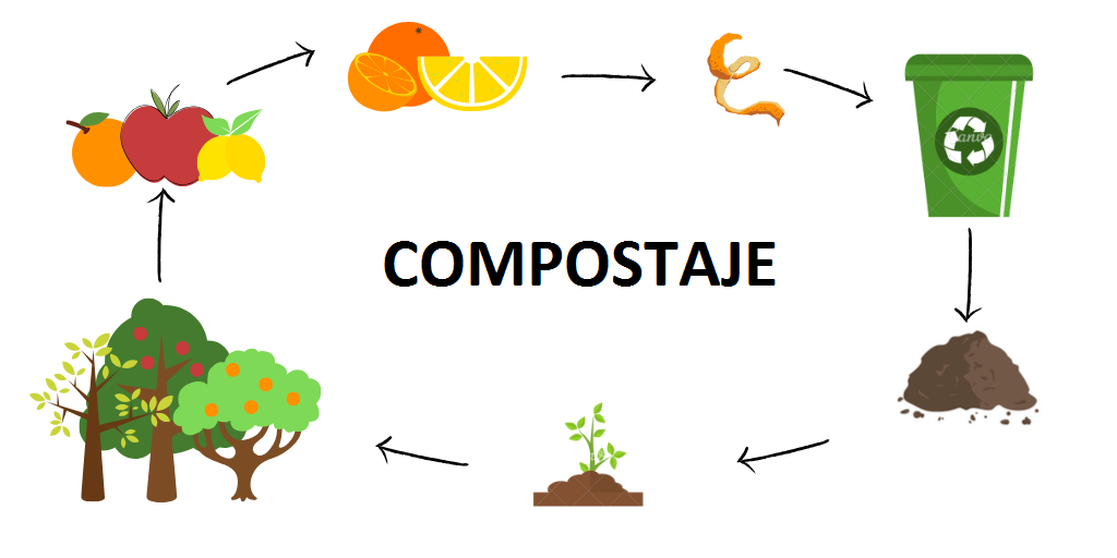 Compostaje: devolver al ciclo – Herramientas Digitales II